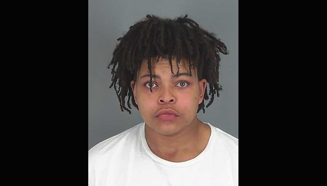 South Carolina: Serial criminal charged with car break-ins