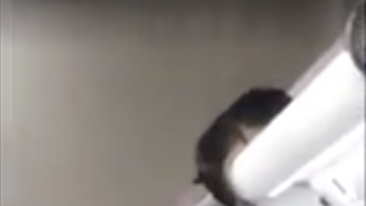 CAUGHT ON CAM: Rats descend upon Tokyo convenience store