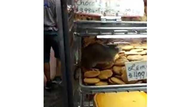 Rat filmed crawling over bakery's pastries at Lexington Market