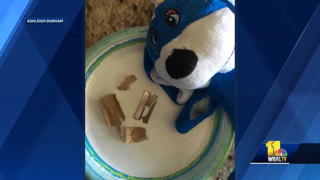 Razor blade reported to have been found in stuffed animal at carnival