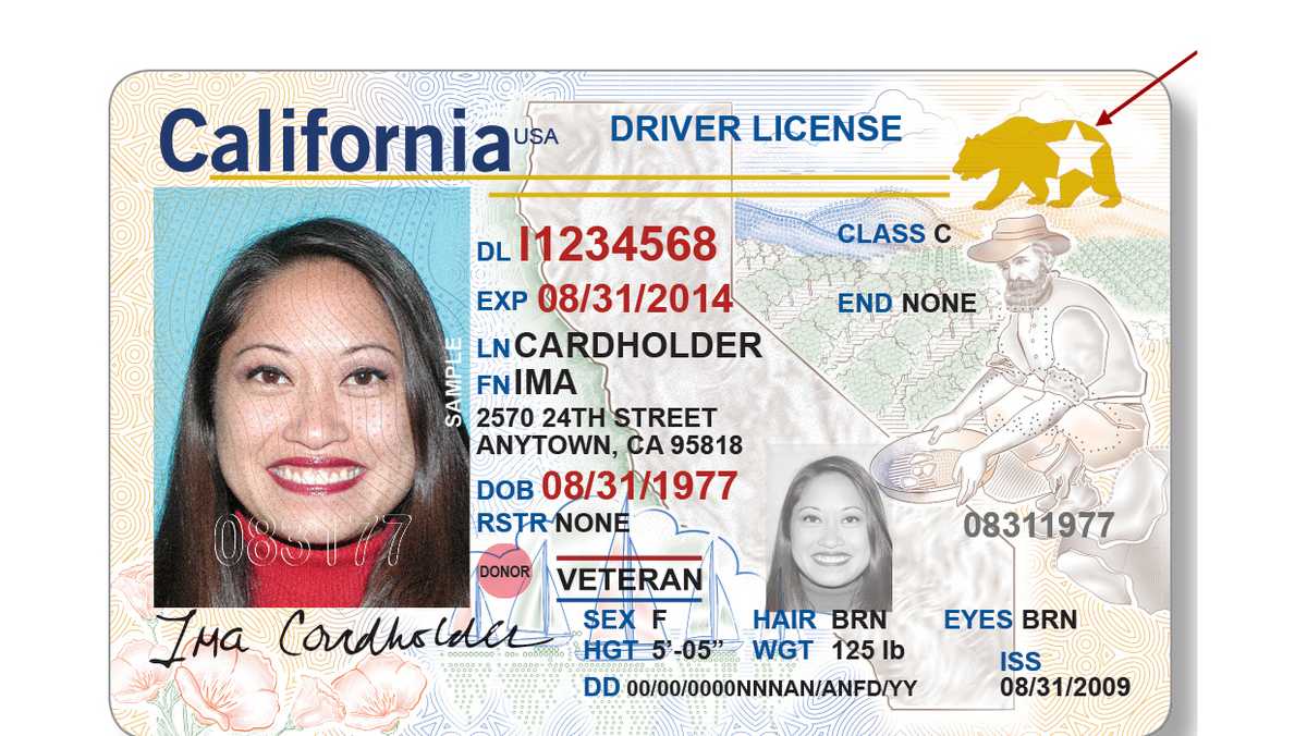 Want to pick your driver's license photo? California bill aims to give ...