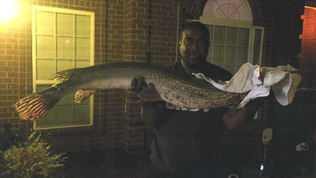 World record longnose gar caught in Mississippi