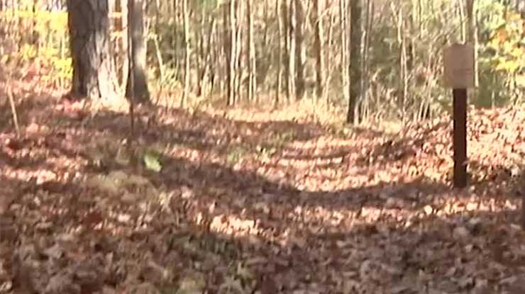 Tree falls on tent at Red River Gorge, killing KY Boy Scout