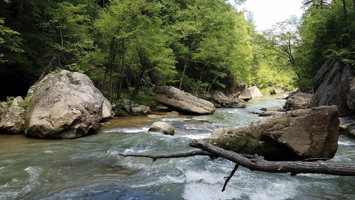 Boy, 4, survives fall off cliff while hiking with parents