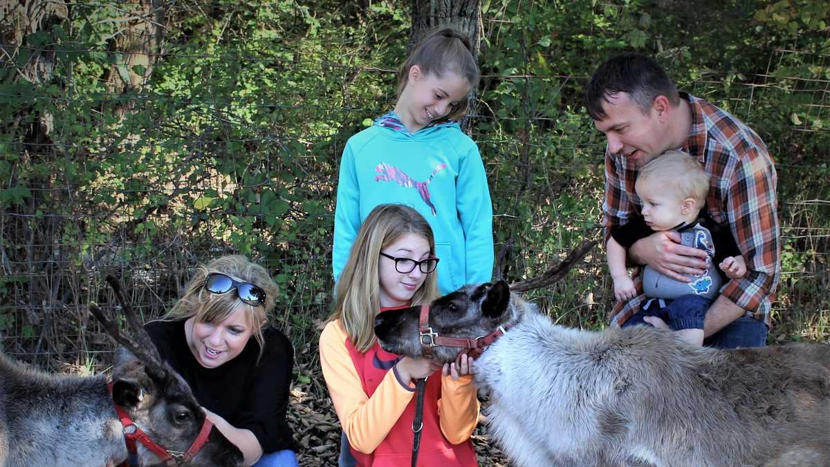 Indiana farm hosting 'reindeer encounters' this season