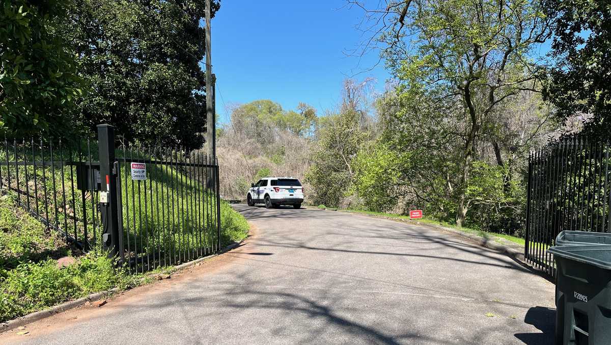 Skeletal human remains found deep in the woods on Red Mountain