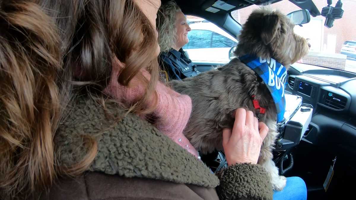 Nebraska dog with kidney failure takes on bucket list