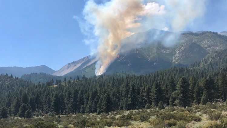 Small aircraft crashes, ignites mountain wildfire near Reno