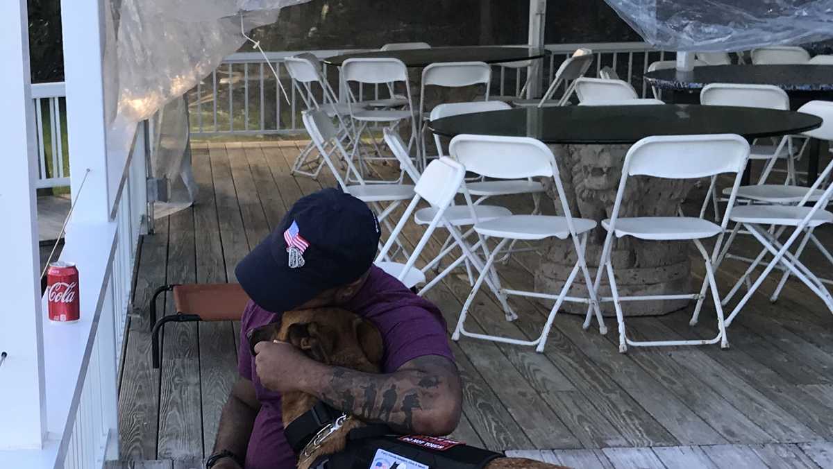 Shelter dogs connect with veterans, saving two lives