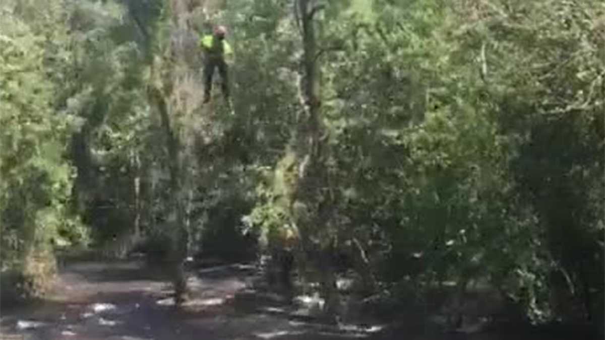 Crews rappel through trees to rescue man trapped in floodwaters off I-10
