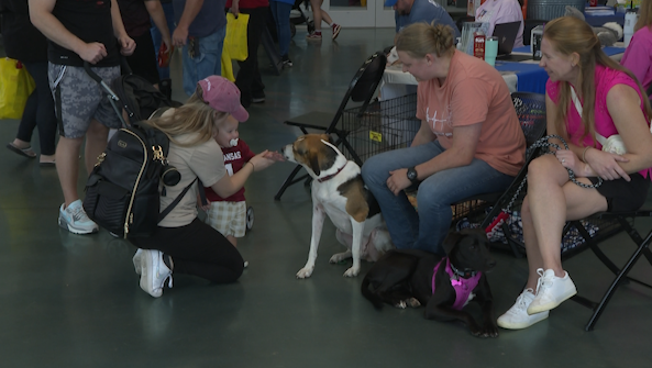 Birmingham Christian Family Magazine hosts annual 'Celebrate the Family Expo'