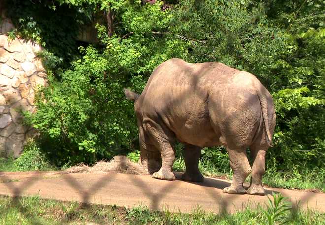 Summer Zoo Camp kicks off with wet start