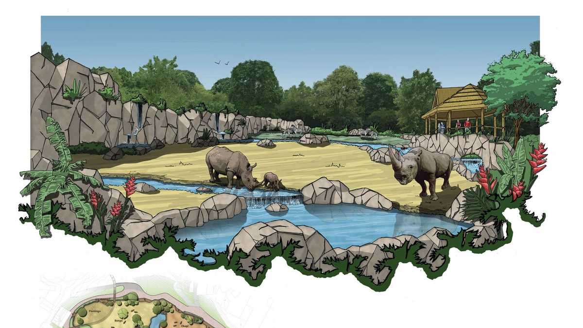PHOTOS: Renderings of Cincinnati Zoo's big plans