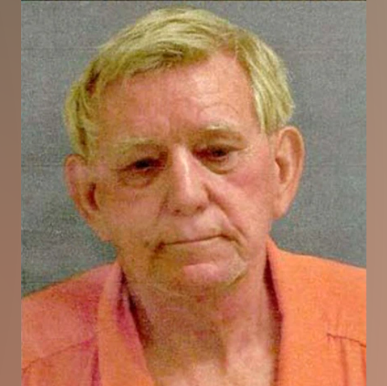 Georgia man faces animal cruelty charges, dozens of dogs seized