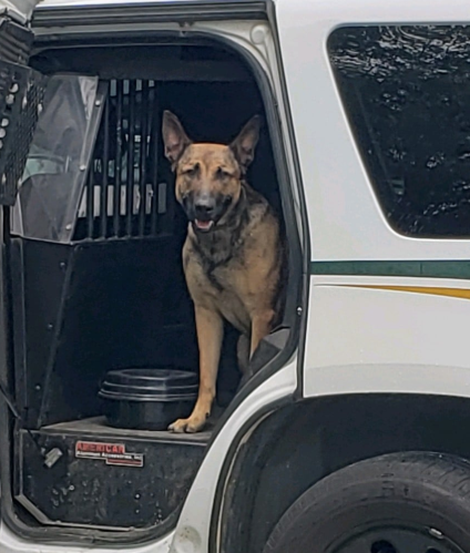 Pickens County Sheriff's Office K9 found after getting away from handler