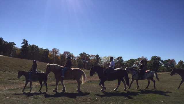 Take a horseback ride through the trails at Castle in the Clouds