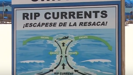 Swim safety recommendations after 4 Alabamians die in drowning-related ...