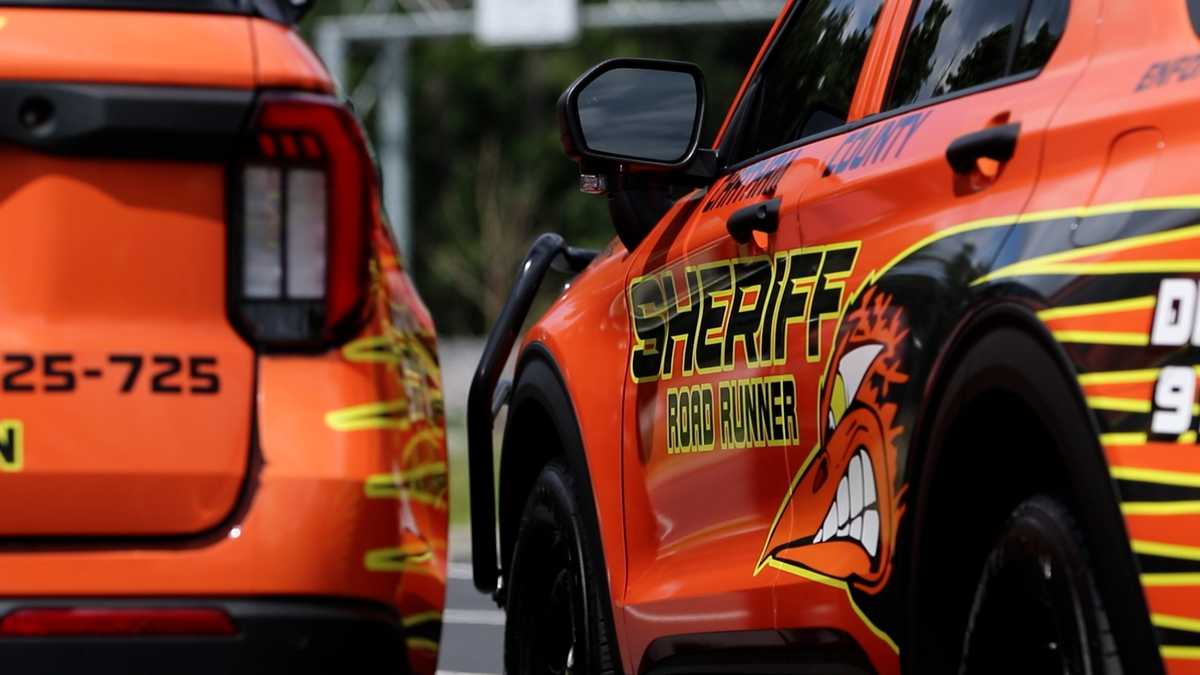 Chatham County: New sheriff vehicles for traffic safety