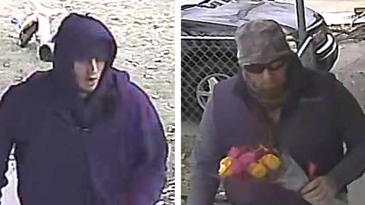 Robbers force way into Roseville home, hold woman hostage