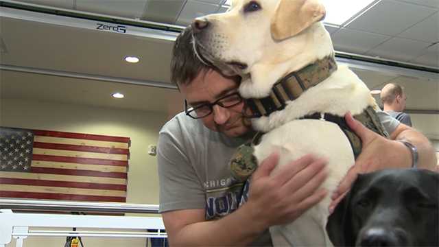 Facility dogs help service members during rehabilitation at Walter Reed