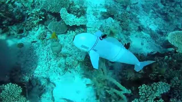 Robotic fish controlled by game controller