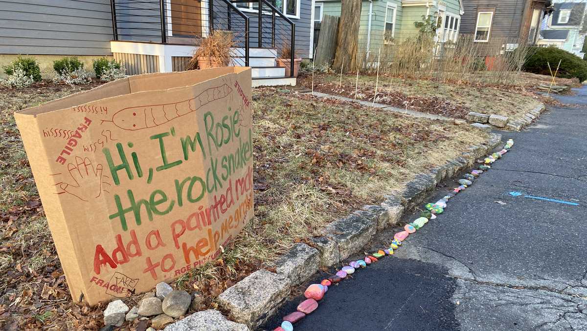 'Rosie the rock snake' spreading joy in Portland