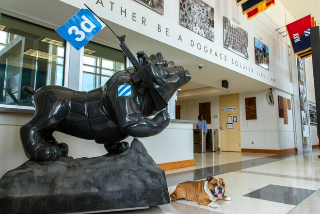 Rocky the Bulldog earns 3rd Infantry Division patch