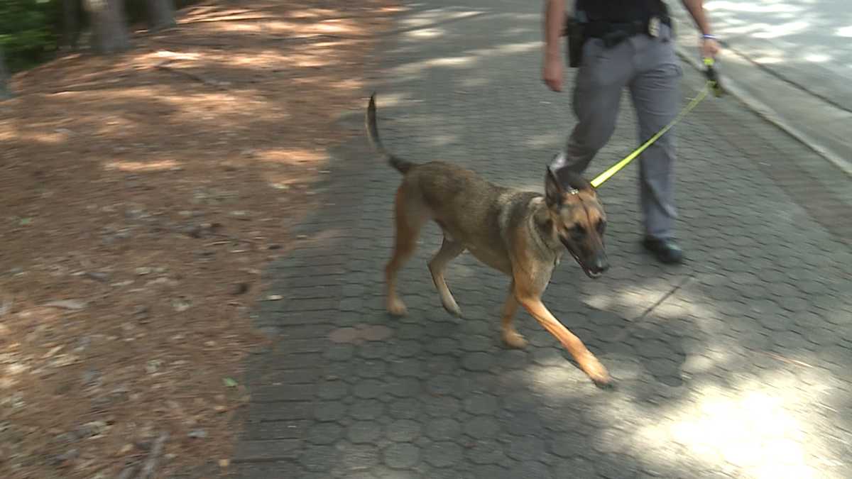 New four legged officer joins Georgia Southern Police Department