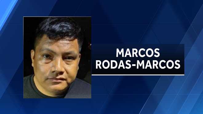 Man who allegedly lured girls into his van arrested in Florida