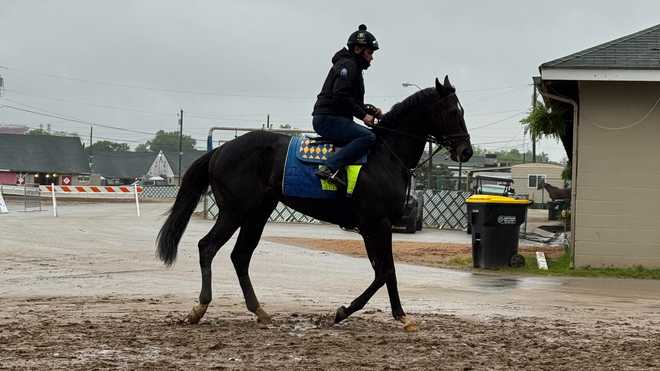 Preakness status pending for Kentucky Derby-winner Sovereignty