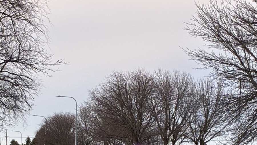Bellevue police investigate rollover crash