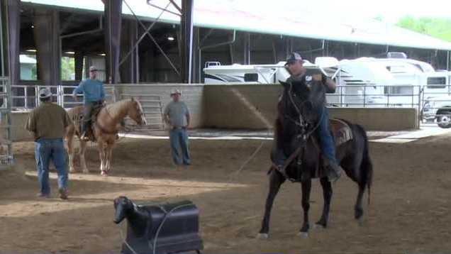 Veterans learn to ride, rope cattle at state fairgrounds