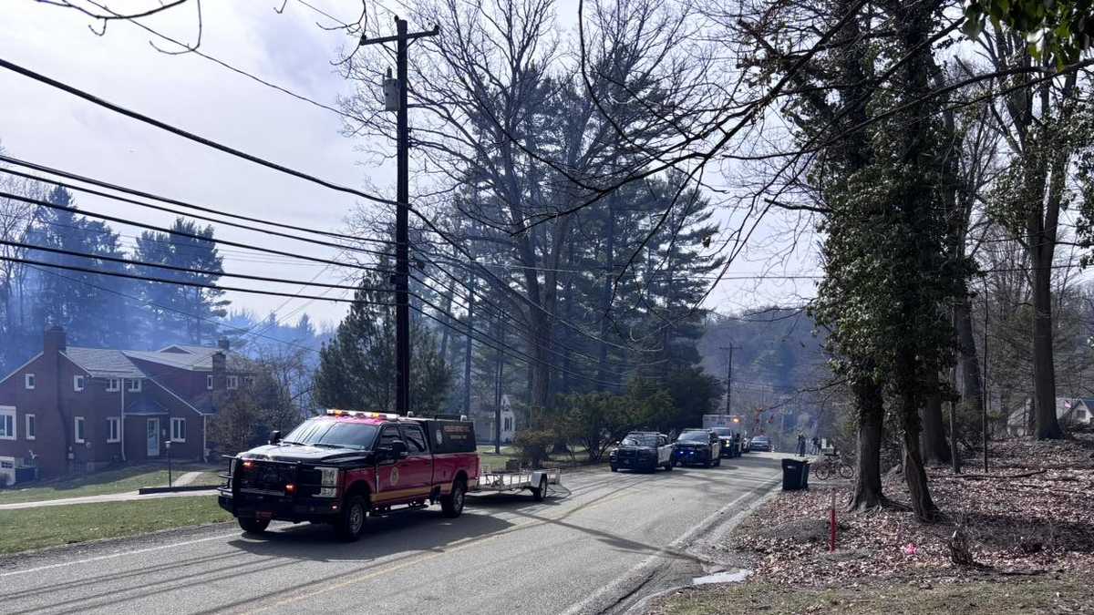Large brush fire breaks out in Ross, Shaler Township