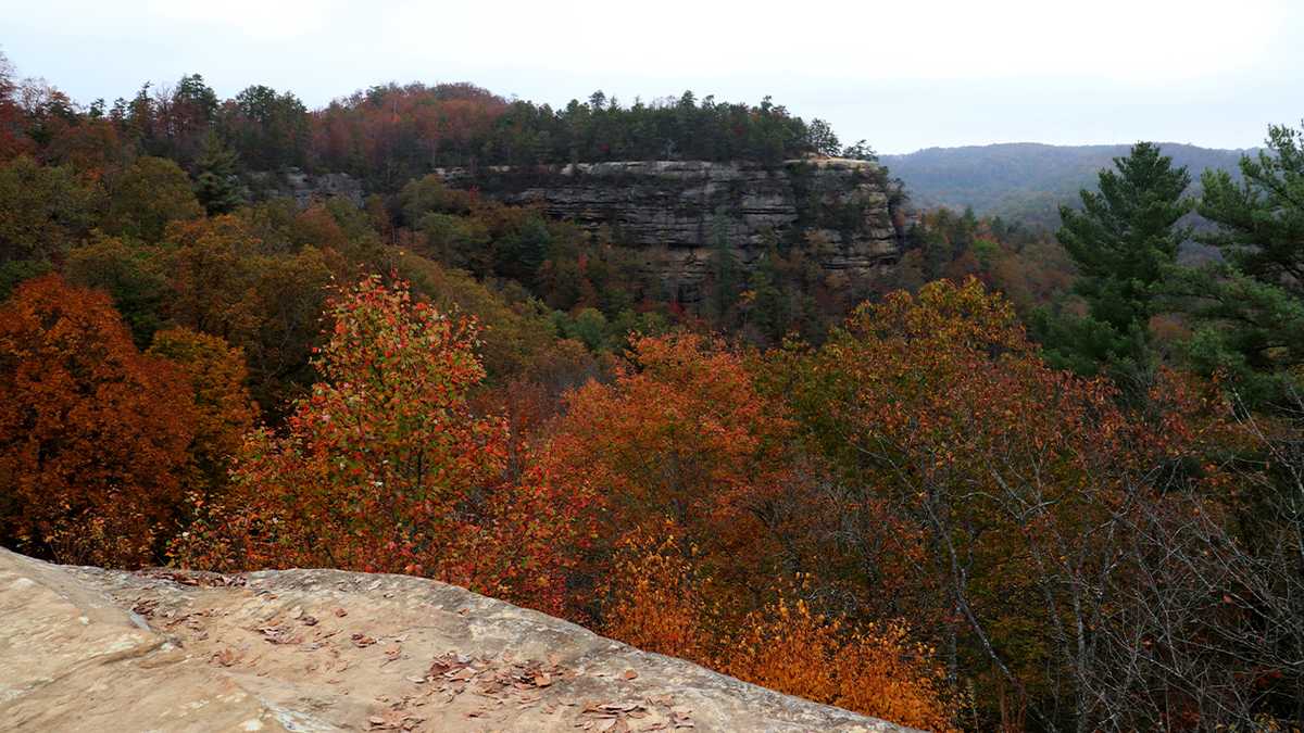 Man dies after falling while hiking at Red River Gorge