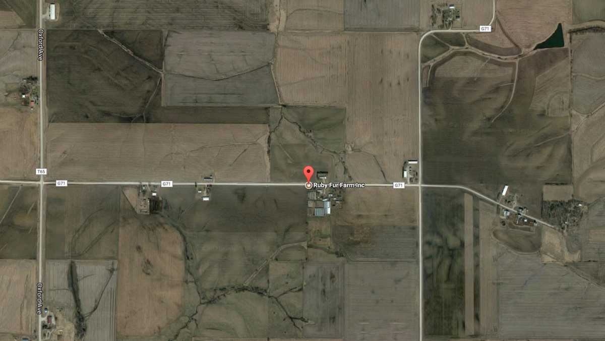 Animal rights groups demand action against Iowa fur farm