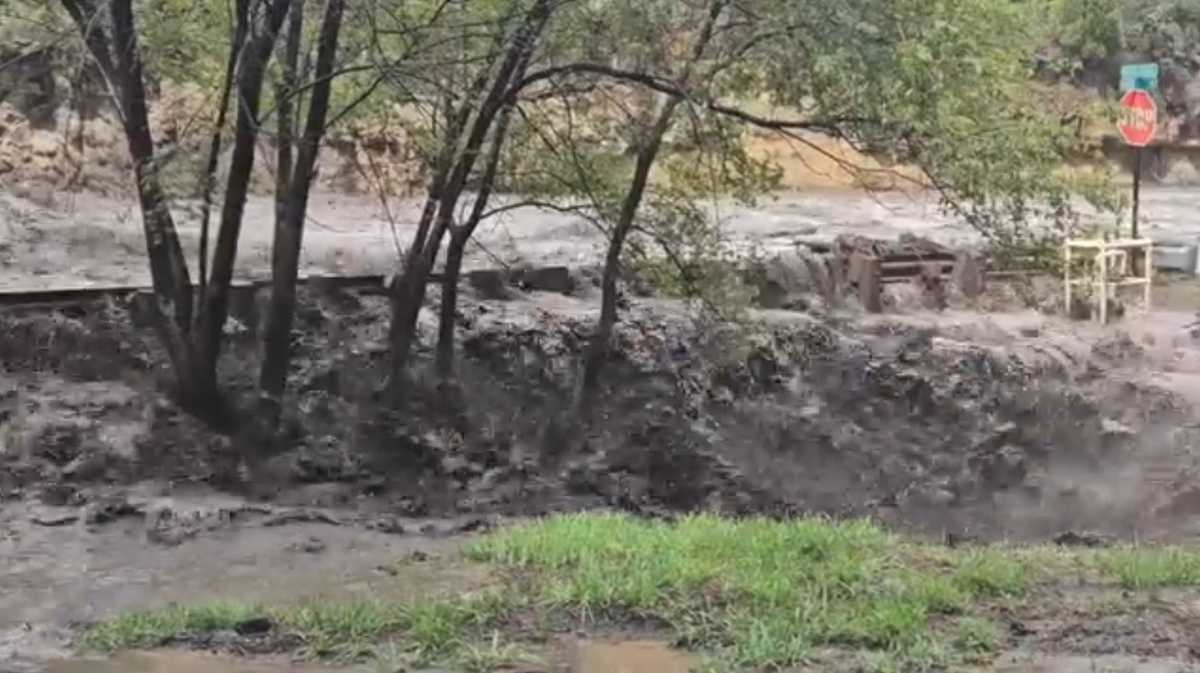 SNAP assistance details for Lincoln County flood victims