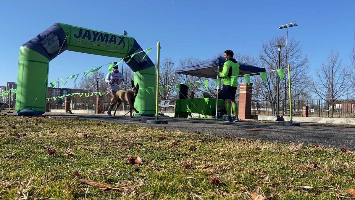 Fourth annual Running of the Hogs held on University of Arkansas campus