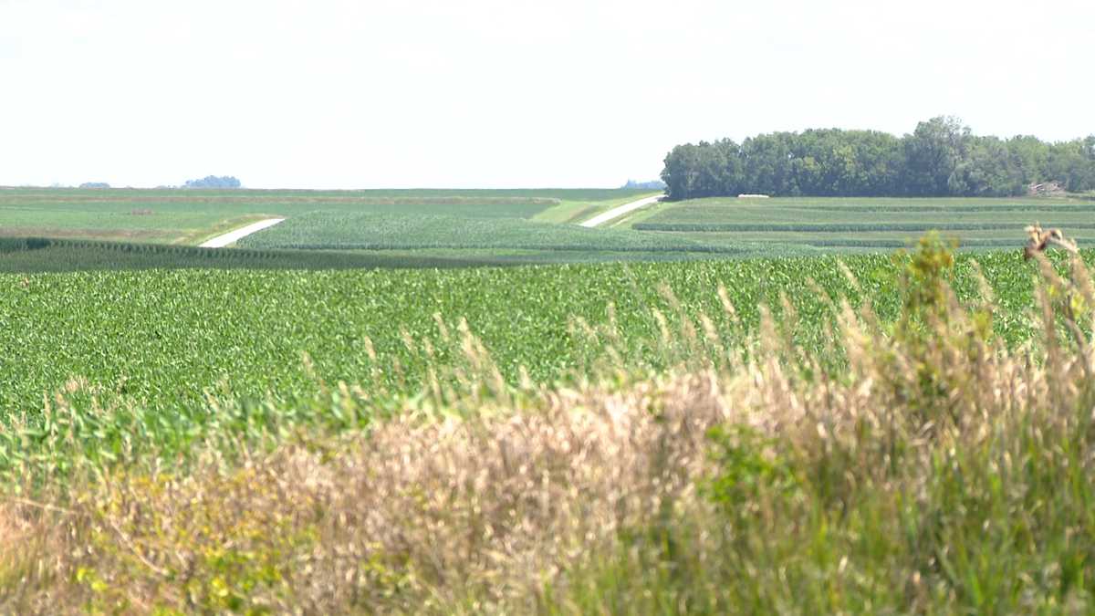 Empower Rural Iowa meeting to be hosted Wednesday