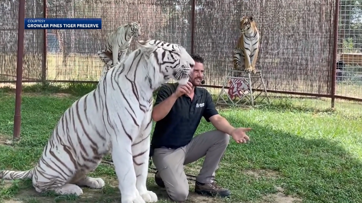How to help family of caretaker killed in Oklahoma tiger accident