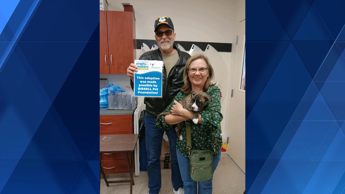 Butler County dog found tied up, abandoned finds new forever home