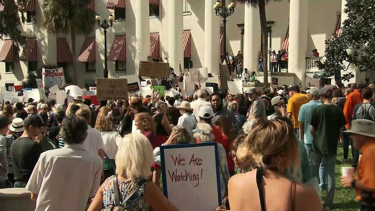 Help Us Survivors Of The Florida School Shooting Flock To State
