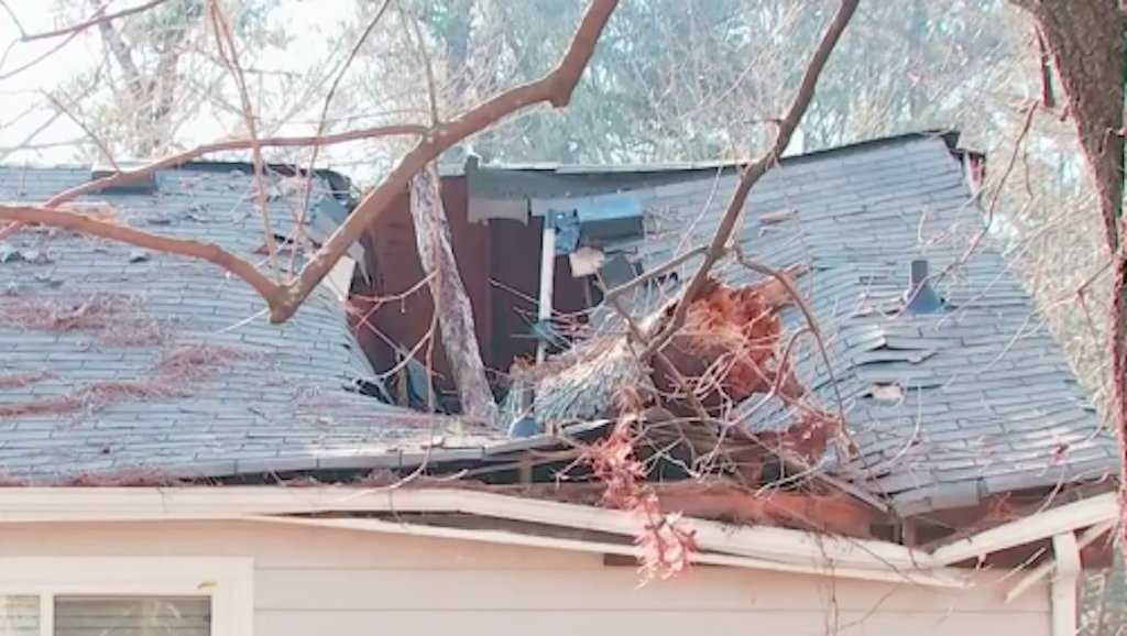 'I was so scared': Mother says she felt helpless as fallen tree dangled ...