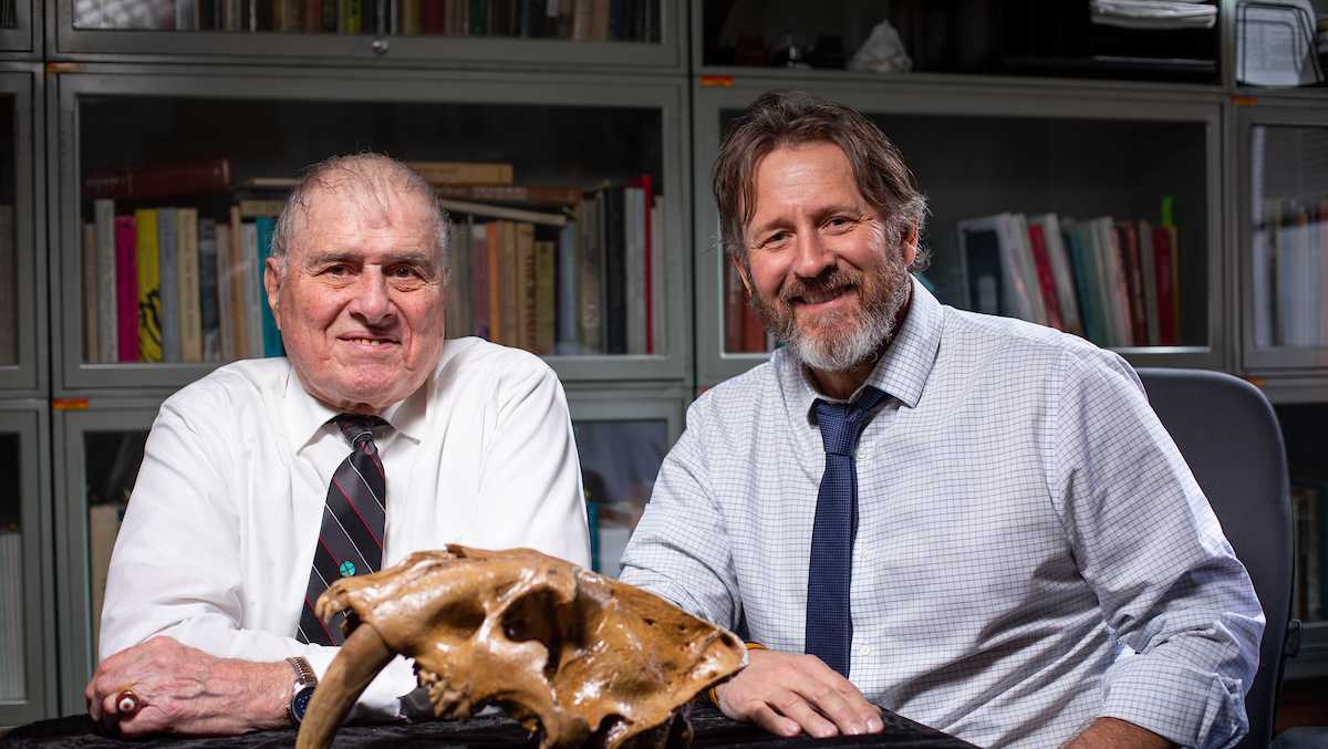 Prehistoric sabertooth cat skull found in Iowa's Page County