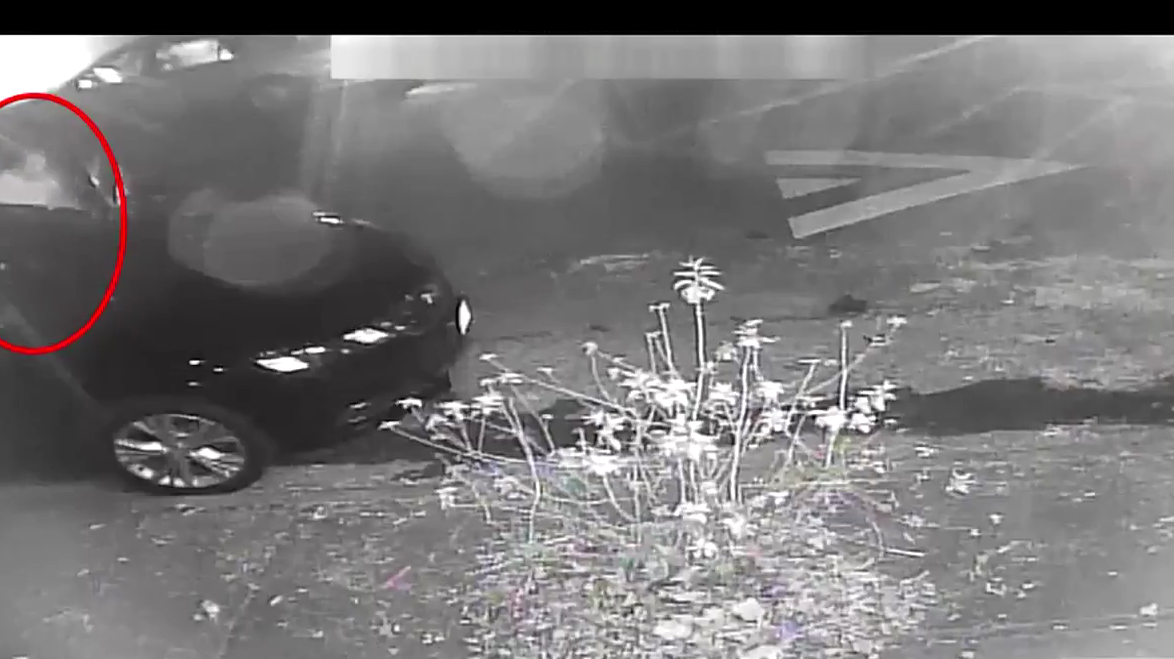 Police Look For Sacramento Homicide Suspect Caught On Camera