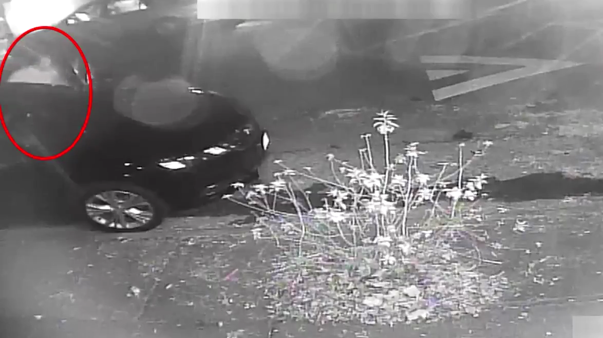 Police Look For Sacramento Homicide Suspect Caught On Camera