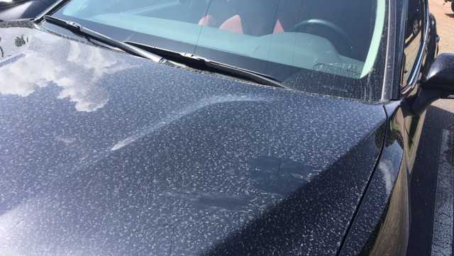 Saharan dust is what's making your car so dirty