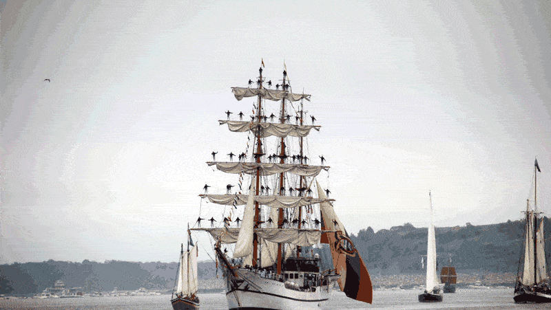 Sail Boston 2026: Countdown to the Parade of Sail