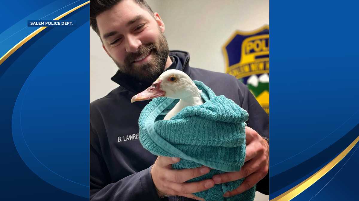 Salem, NH police reunite missing pet duck found with owner