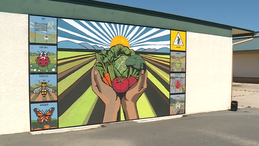 New mural unveiled at a Ca. elementary school