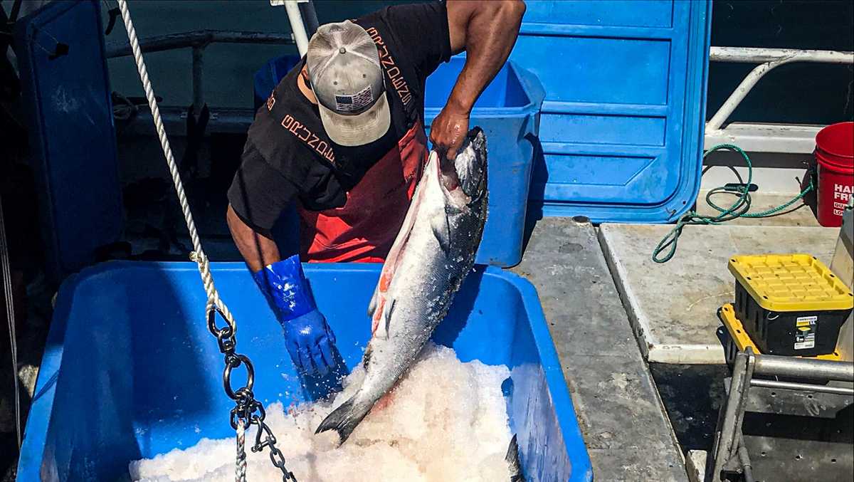 Santa Cruz Harbor gears up for recreational ocean salmon season